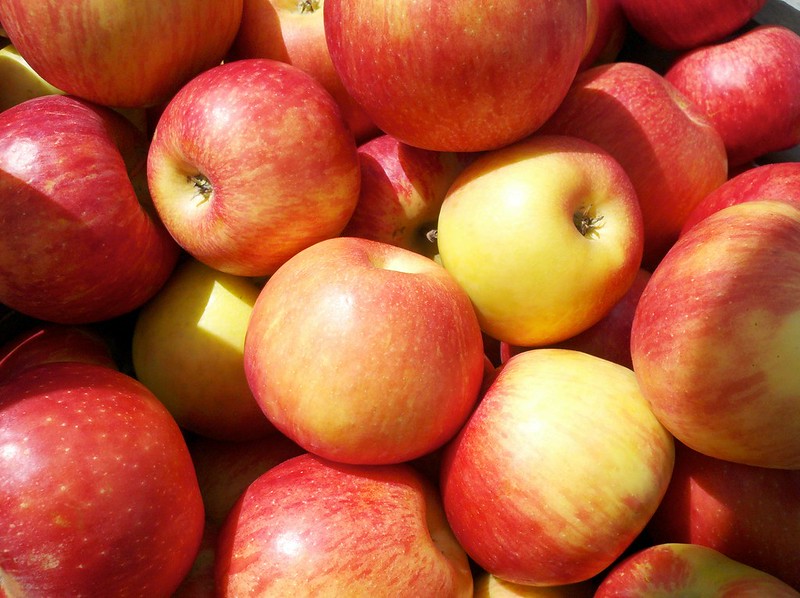 A definitive guide to apple picking - with recipes