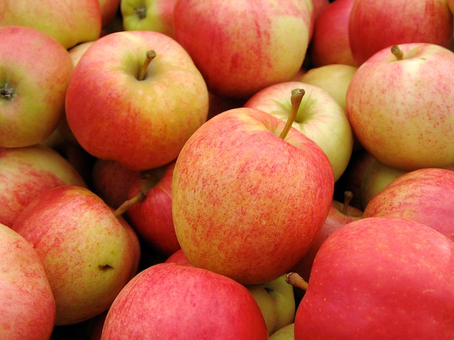 A definitive guide to apple picking - with recipes