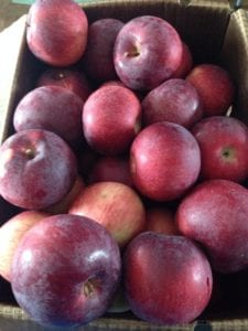 A definitive guide to apple picking - with recipes