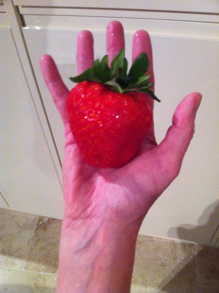 40 times people ordered groceries during quarantine and got mutated food