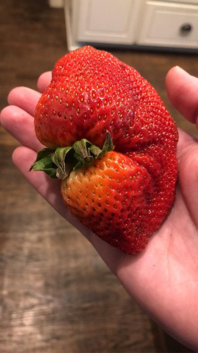 40 times people ordered groceries during quarantine and got mutated food