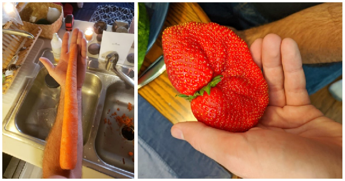 40 times people ordered groceries during quarantine and got mutated food
