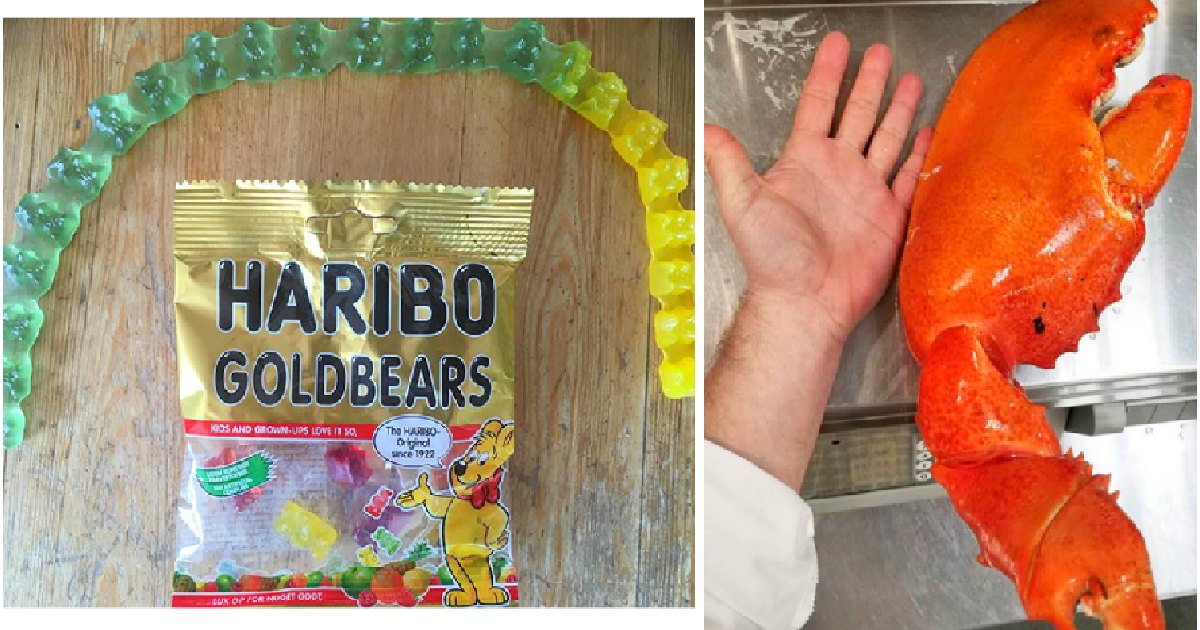 50 people that struck the food lottery jackpot