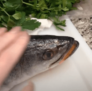 3 easy homemade seafood recipes that will have your mouth watering ...