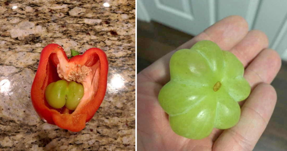 55 Photos Of Food That Get Really Strange