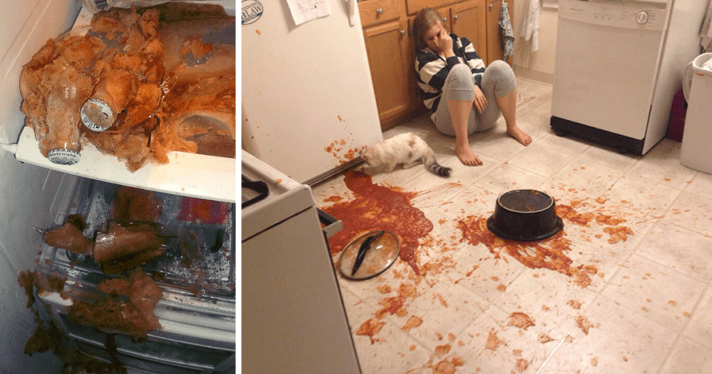 71 Nightmare pics of people having a hard time in the kitchen