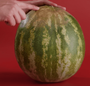 8 simple tips for picking out the perfect watermelon