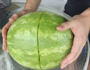 Guy demonstrates how to open up a watermelon using just a quarter
