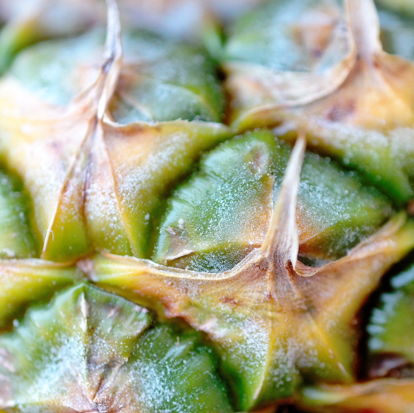 It turns out that we’ve been eating pineapple all wrong