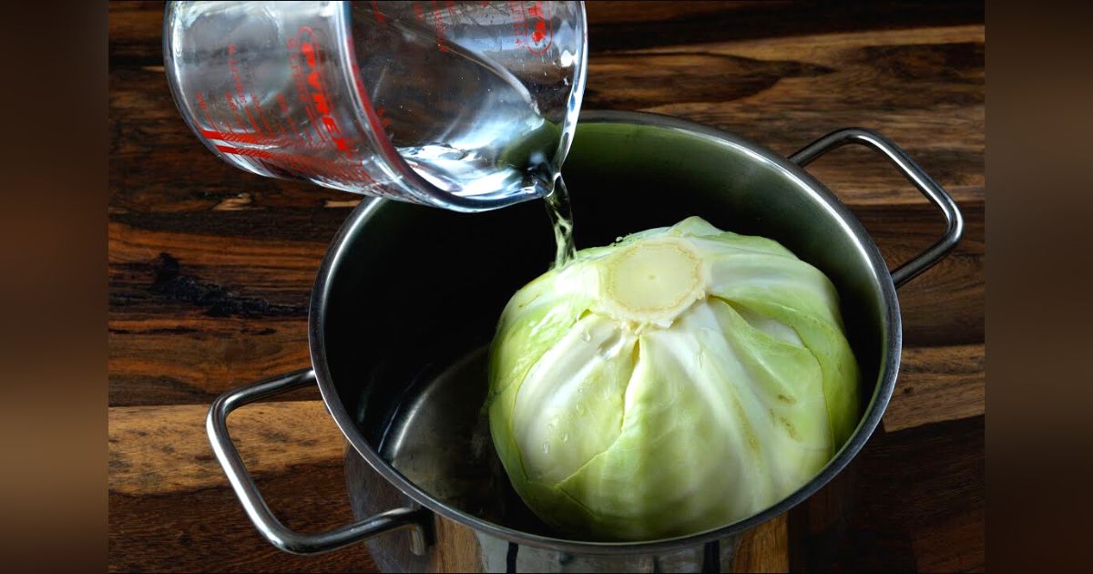 Recipe for cabbage patties gets 11 million views