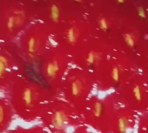 Video of strawberry under a microscope will ensure you never forget to ...