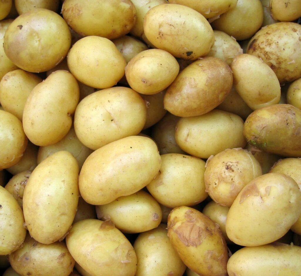 Recipe for mouthwatering “Tornado Potatoes”