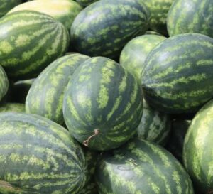 Farmer shares how to pick out the most perfect watermelon