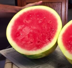 Farmer shares how to pick out the most perfect watermelon