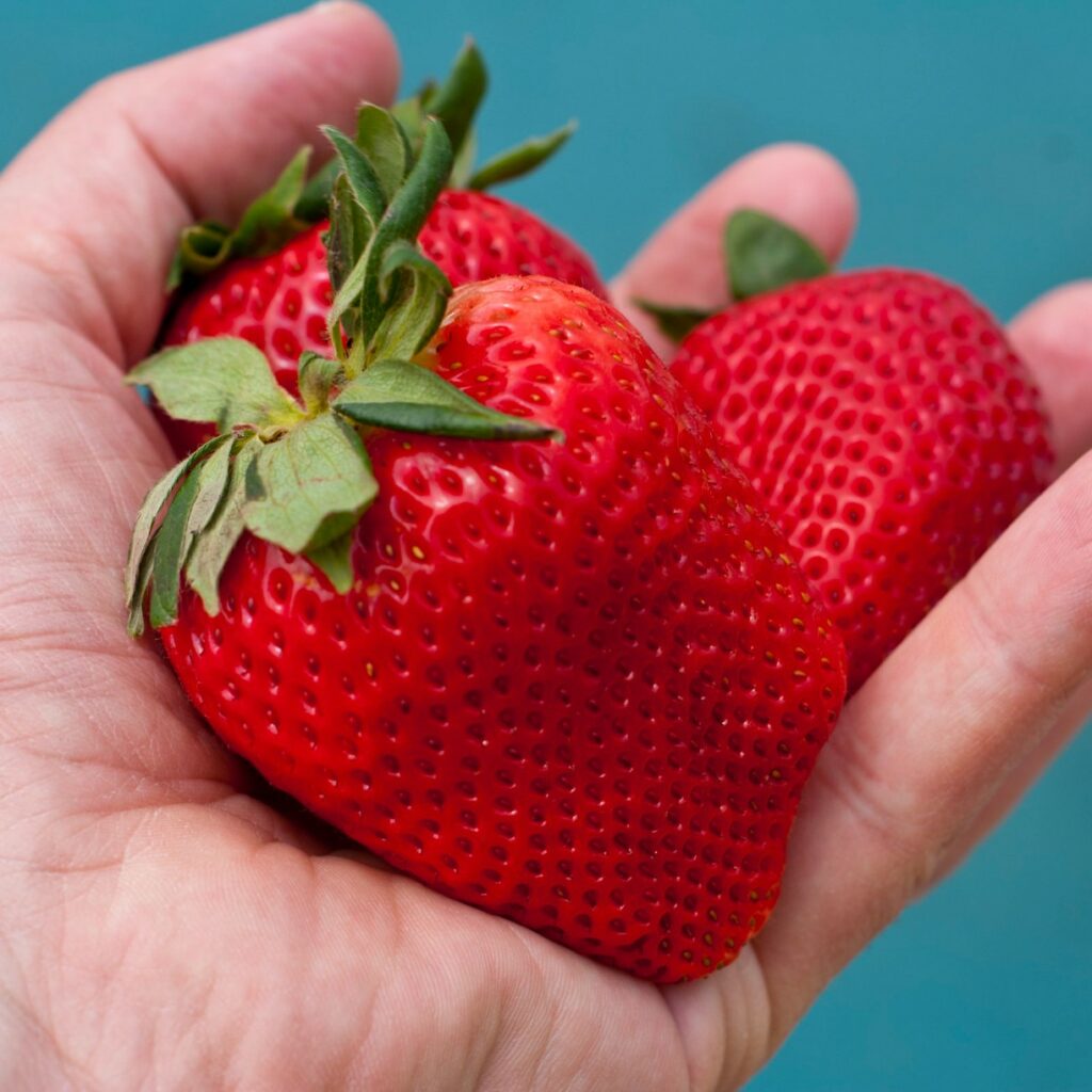 Footage of a strawberry up close under a microscope will guarantee you ...