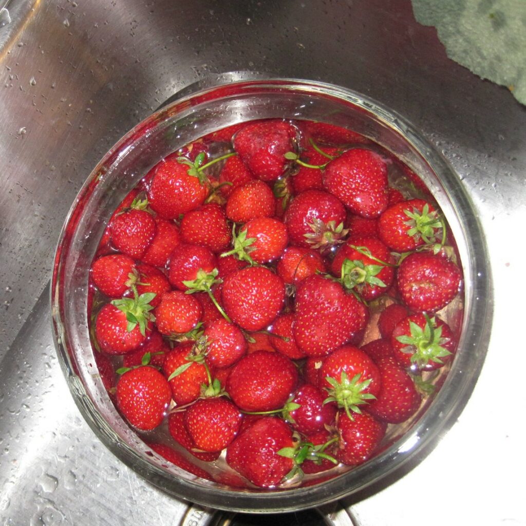 Footage of a strawberry up close under a microscope will guarantee you ...