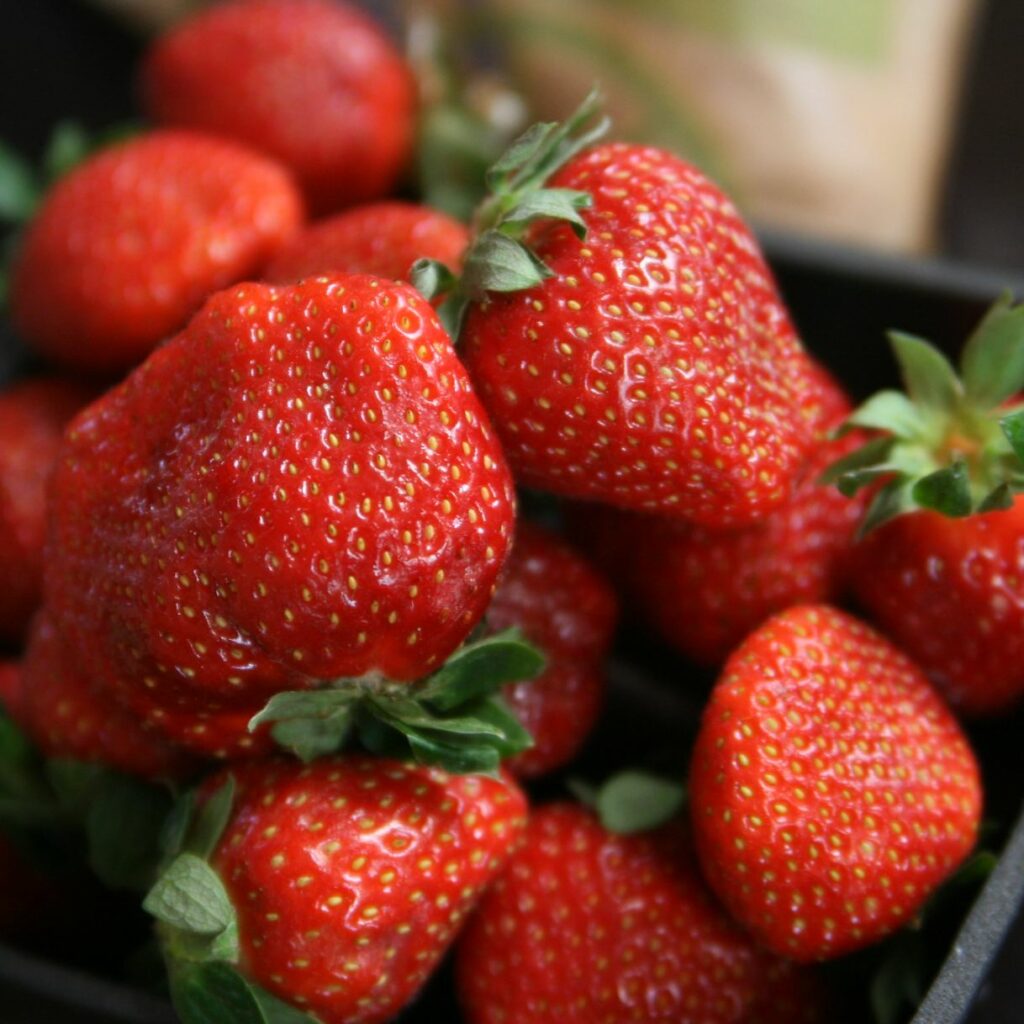 Footage of a strawberry up close under a microscope will guarantee you ...