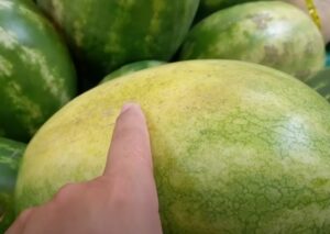 Chef shares how to pick ‘perfect’ watermelon at grocery store