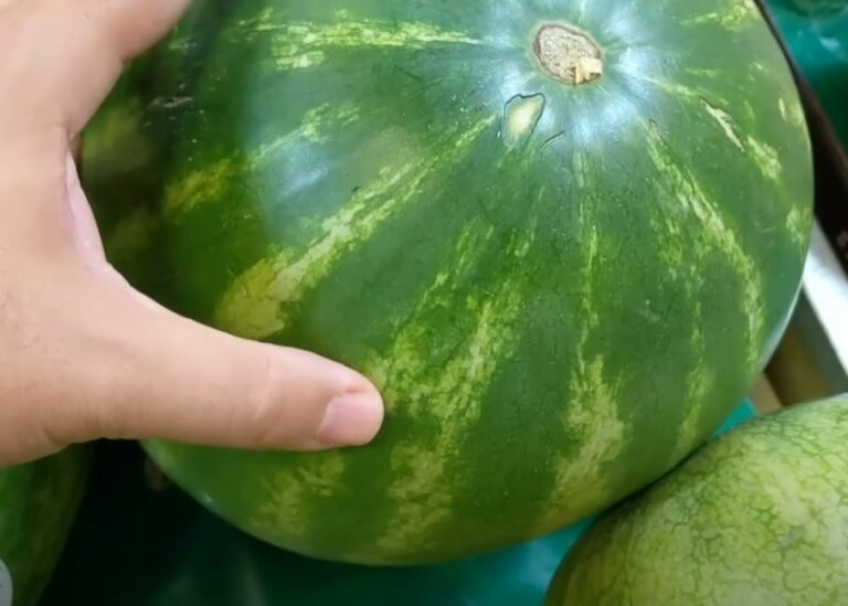 Chef shares how to pick ‘perfect’ watermelon at grocery store